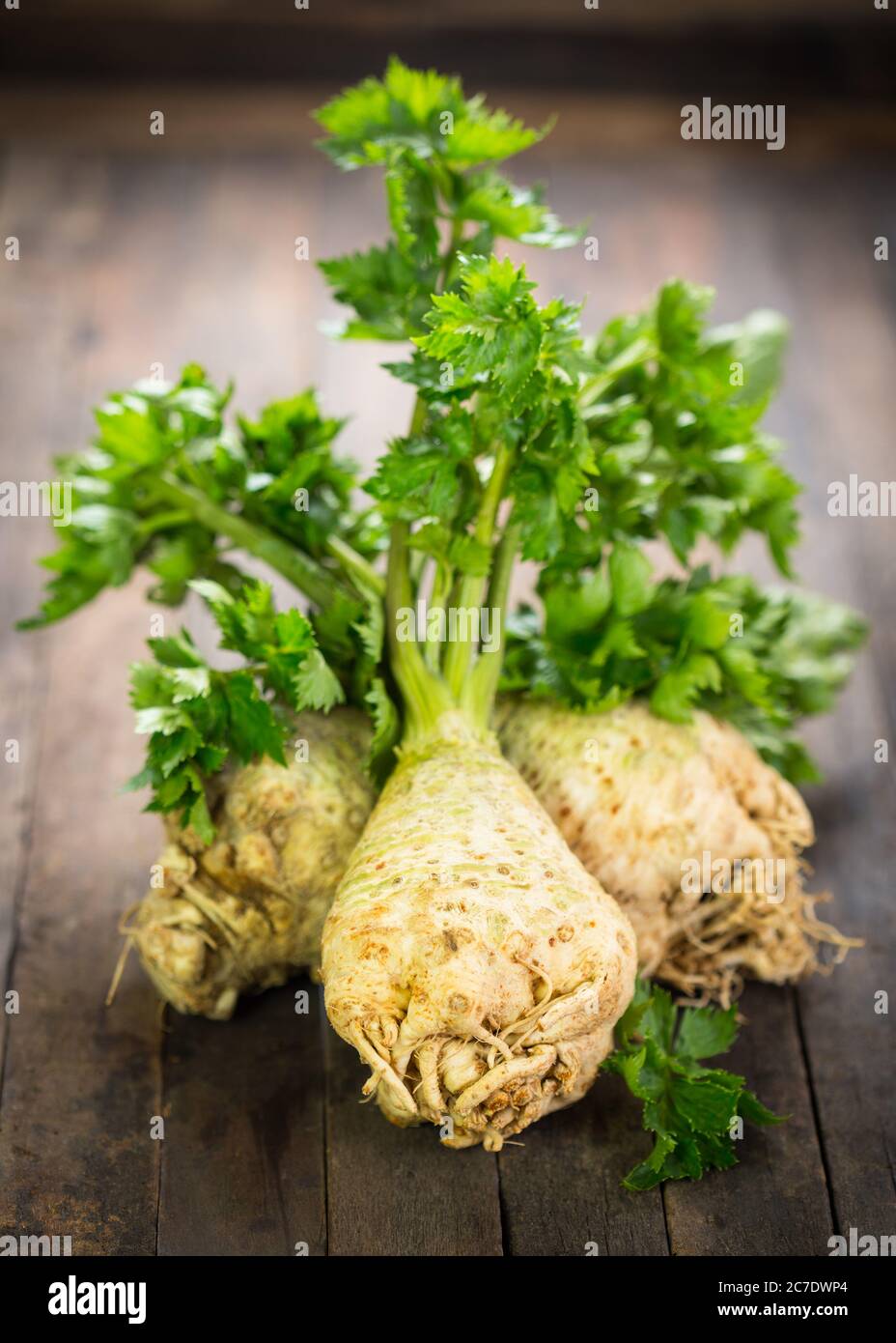Fresh organic celery Stock Photo - Alamy
