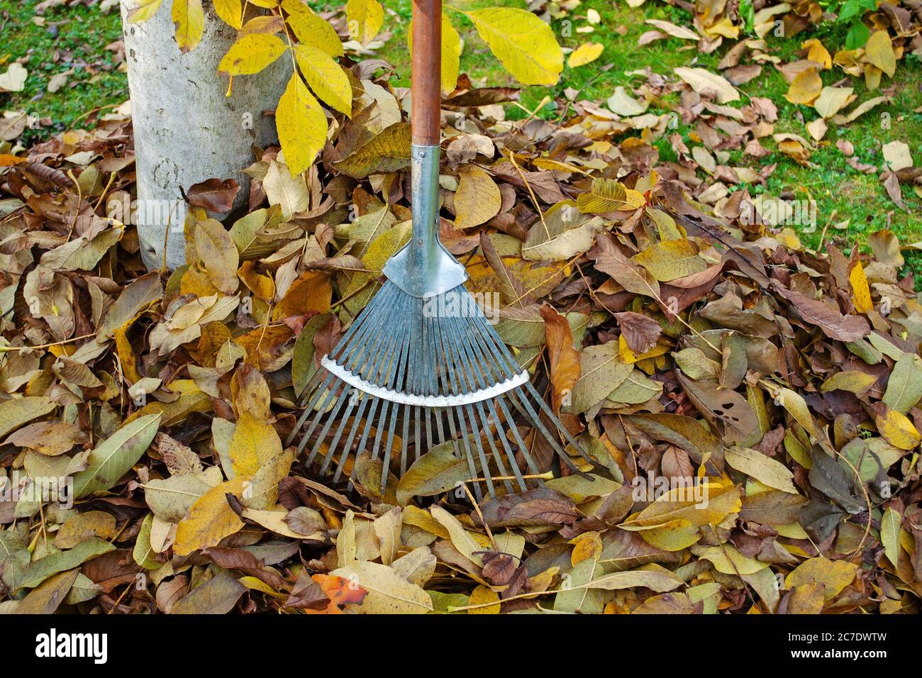 Leaf rakes hi-res stock photography and images - Alamy