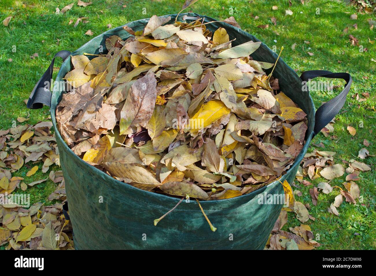 Fall leaves in a rubbish bag Stock Photo - Alamy
