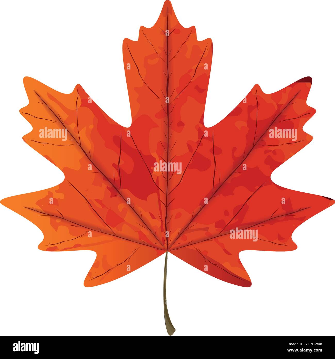Textured maple leaf. Canadian symbol - Vector illustration Stock Vector Image & Art - Alamy