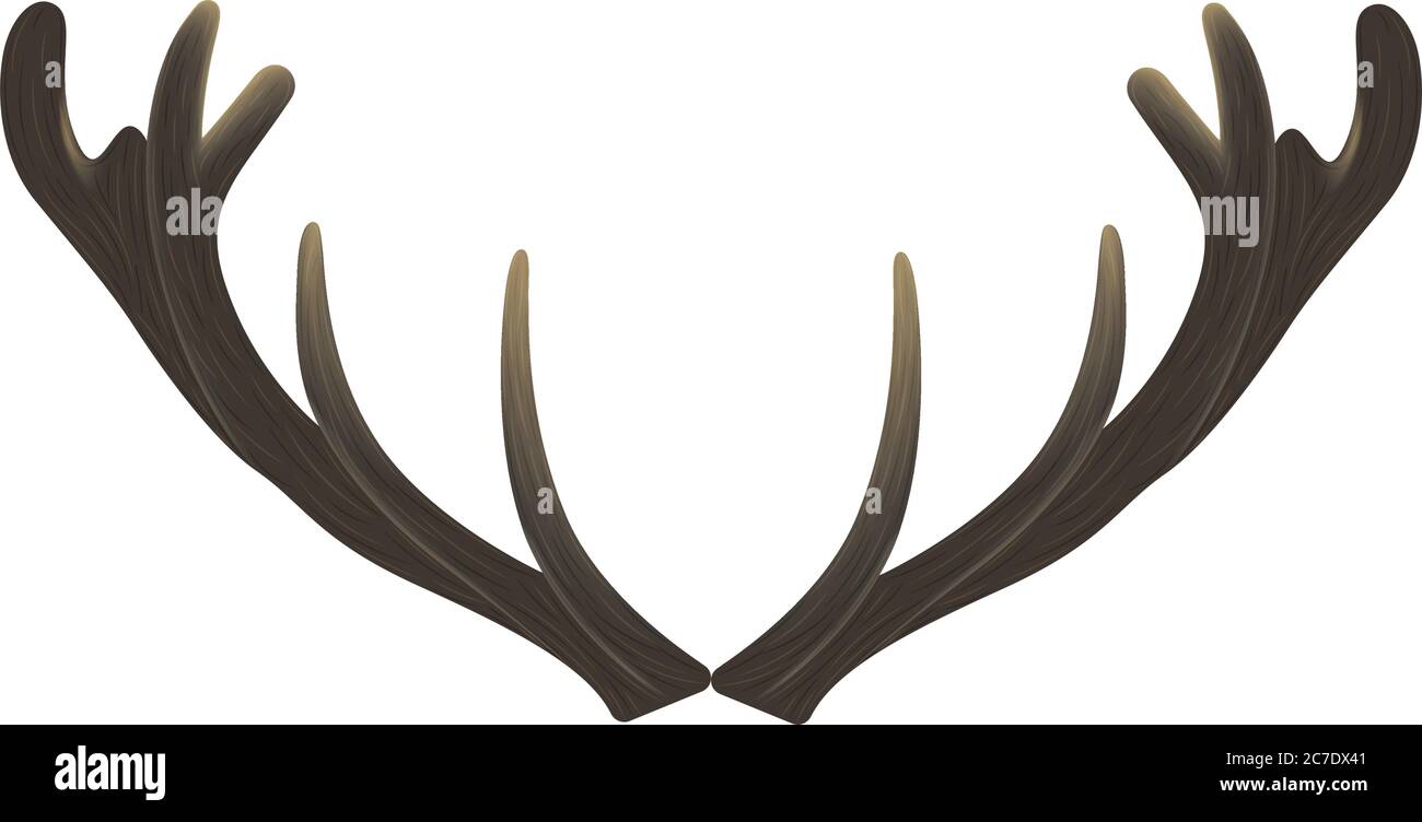 Isolated moose antlers. Vintage decoration - Vector Stock Vector Image ...