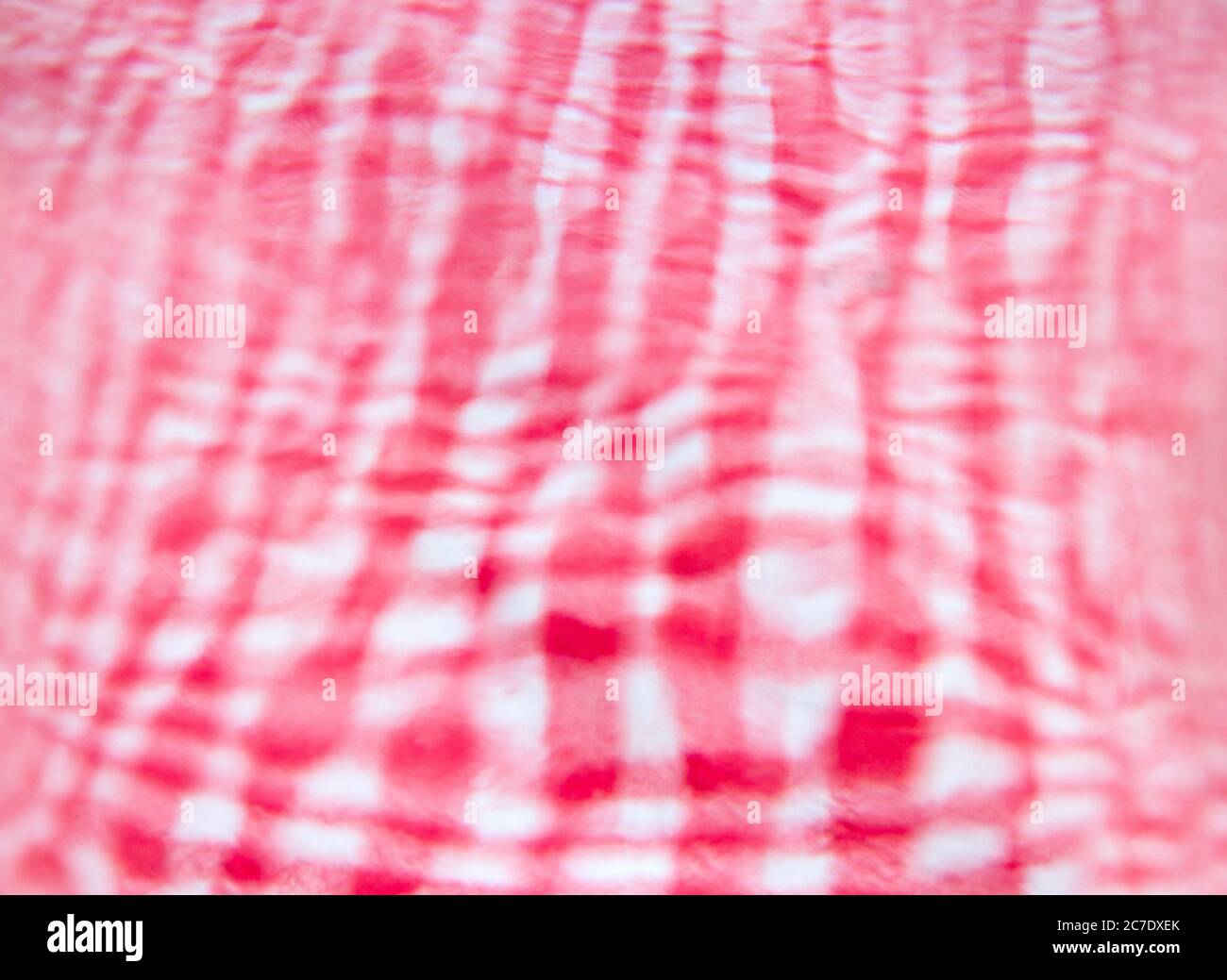 Gingham pattern hi-res stock photography and images - Alamy
