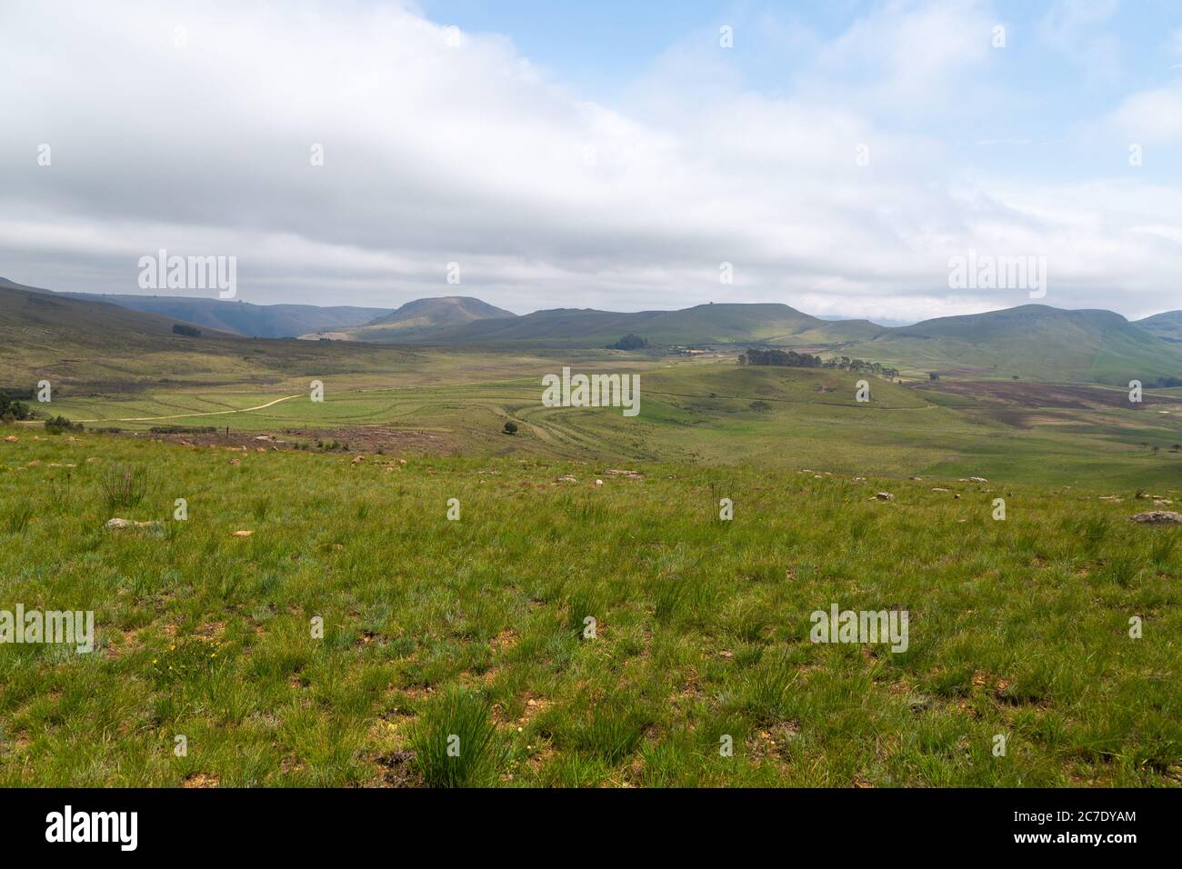 Landscape along the Long Tom Pass (R37), southeast of Lydenburg ...