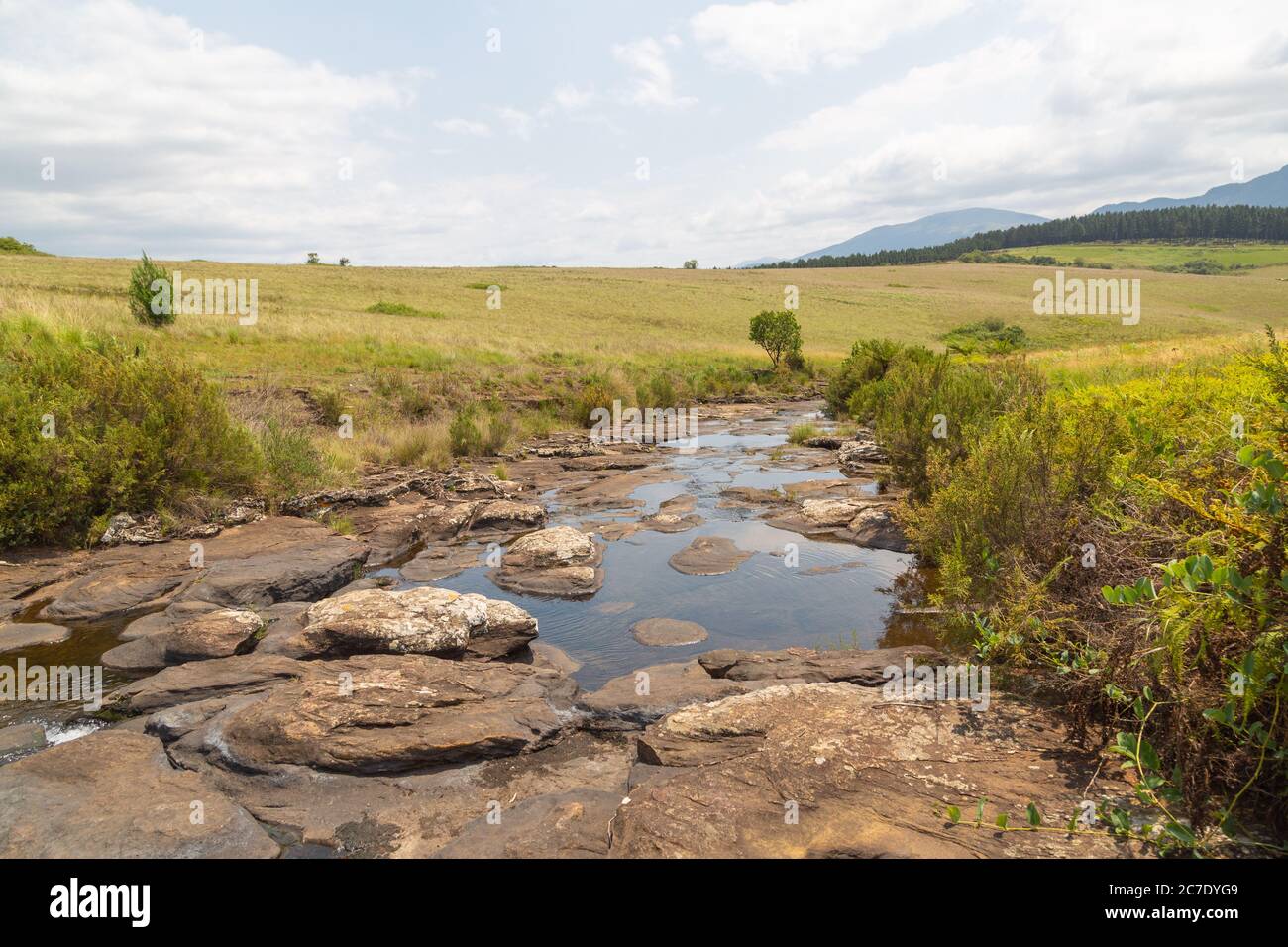 Creek coming from the Mac Mac Pools, close to Sabie, Mpumalanga, South ...
