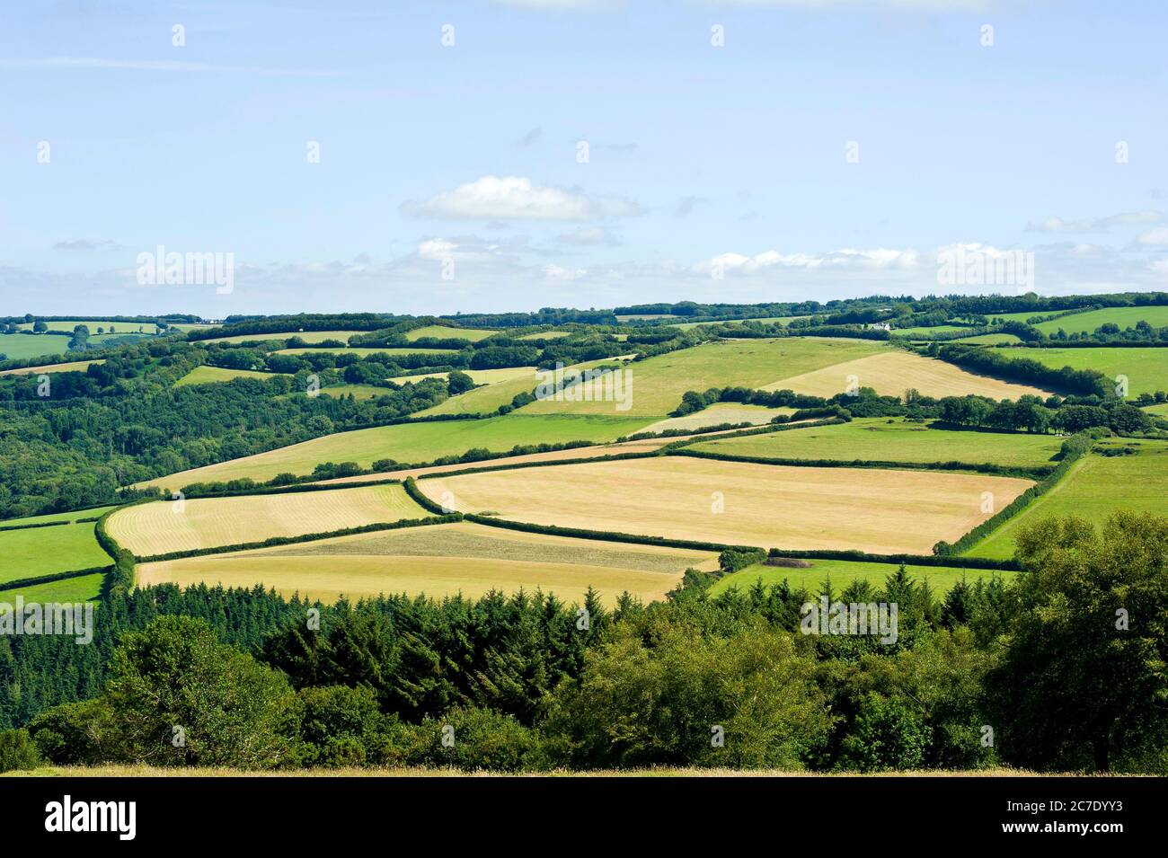 Brendon hills somerset hi-res stock photography and images - Alamy