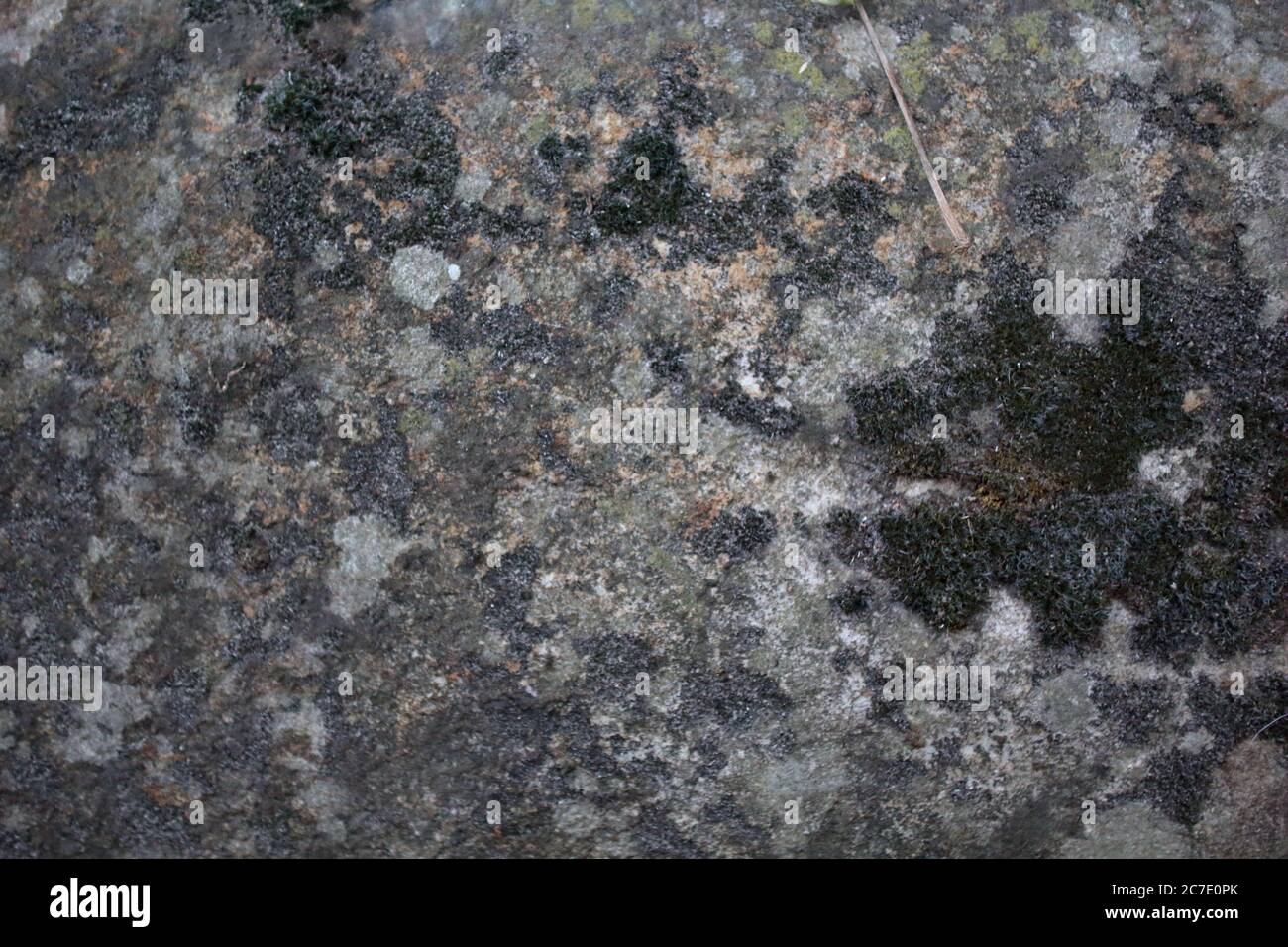 Gray stone surface with moss detail Stock Photo - Alamy