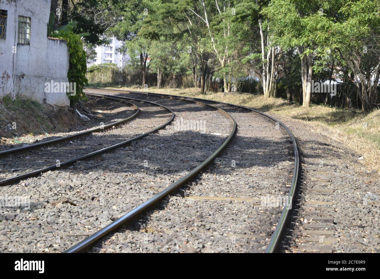 Railroad. Curving train tracks, surrounded by shrubs, trees and masonry ...
