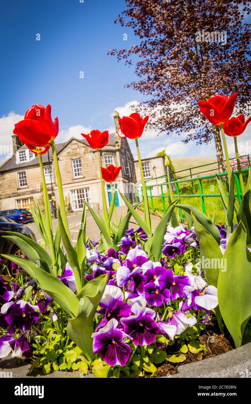 Small town in scotland hi-res stock photography and images - Alamy