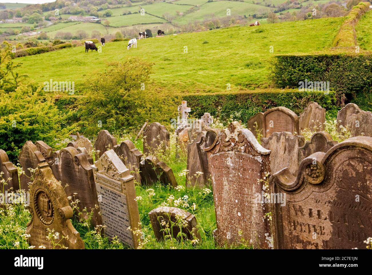 Cemetery, Robin Hood's Bay, England Stock Photo - Alamy