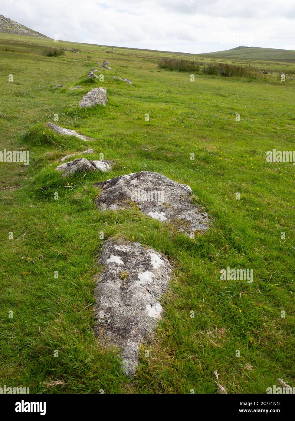 A line of rocks overgrown with grass Stock Photo - Alamy