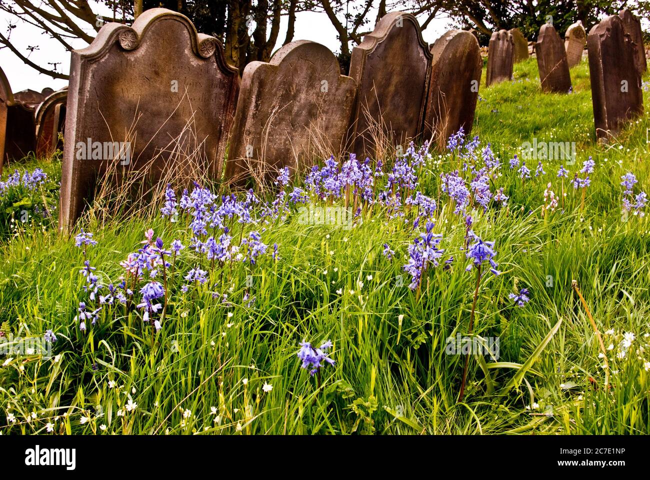 Cemetery, Robin Hood's Bay, England Stock Photo - Alamy