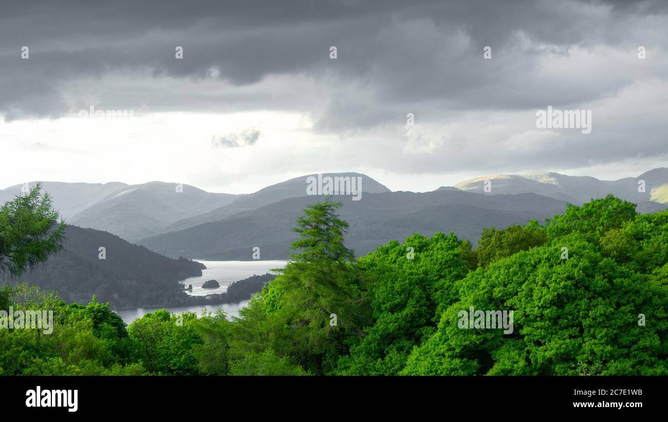 Peeping past the green forest to the hazy lake landscape Stock Photo ...