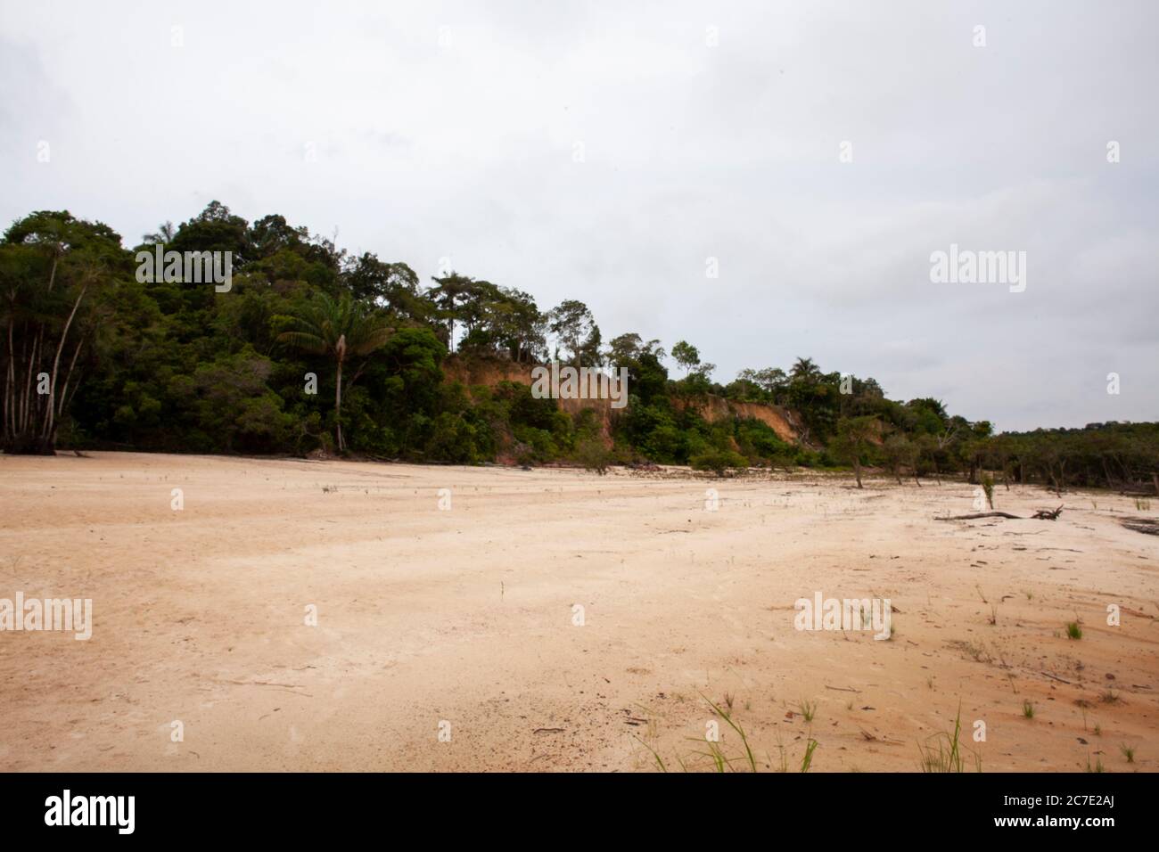 River view amazon rainforest hi-res stock photography and images - Alamy