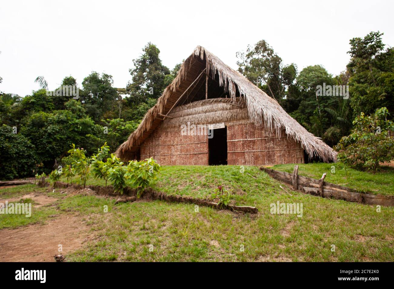 A traditional Amazonian hut with a thatched roof, constructed using ...