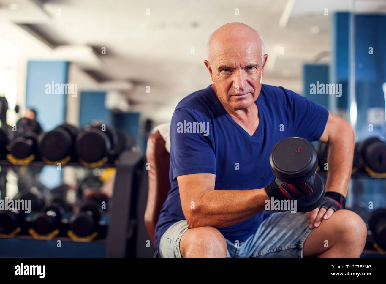 A portrait of bald senior man in the gym training with dumbbells ...