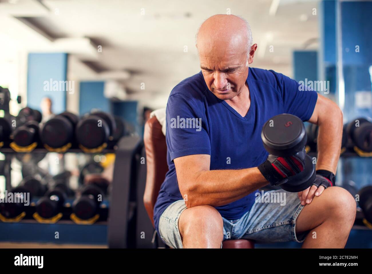 A portrait of bald senior man in the gym training with dumbbells ...