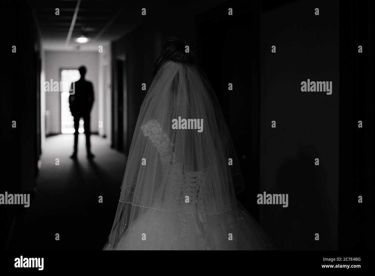 Bride in wedding dress and bridal veil from the back going to the groom ...