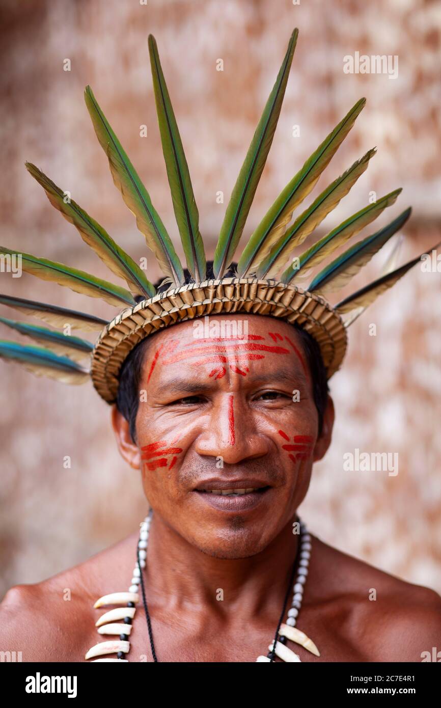 Portrait of an Amazonian indigenous man wearing a traditional feathered ...
