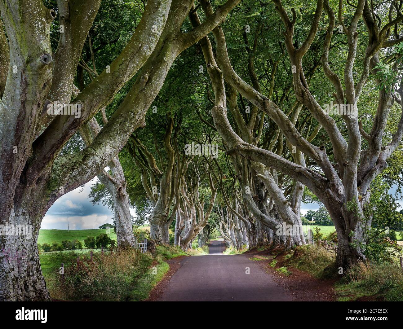 Horizontal shot of a small empty path going through a beautiful park ...