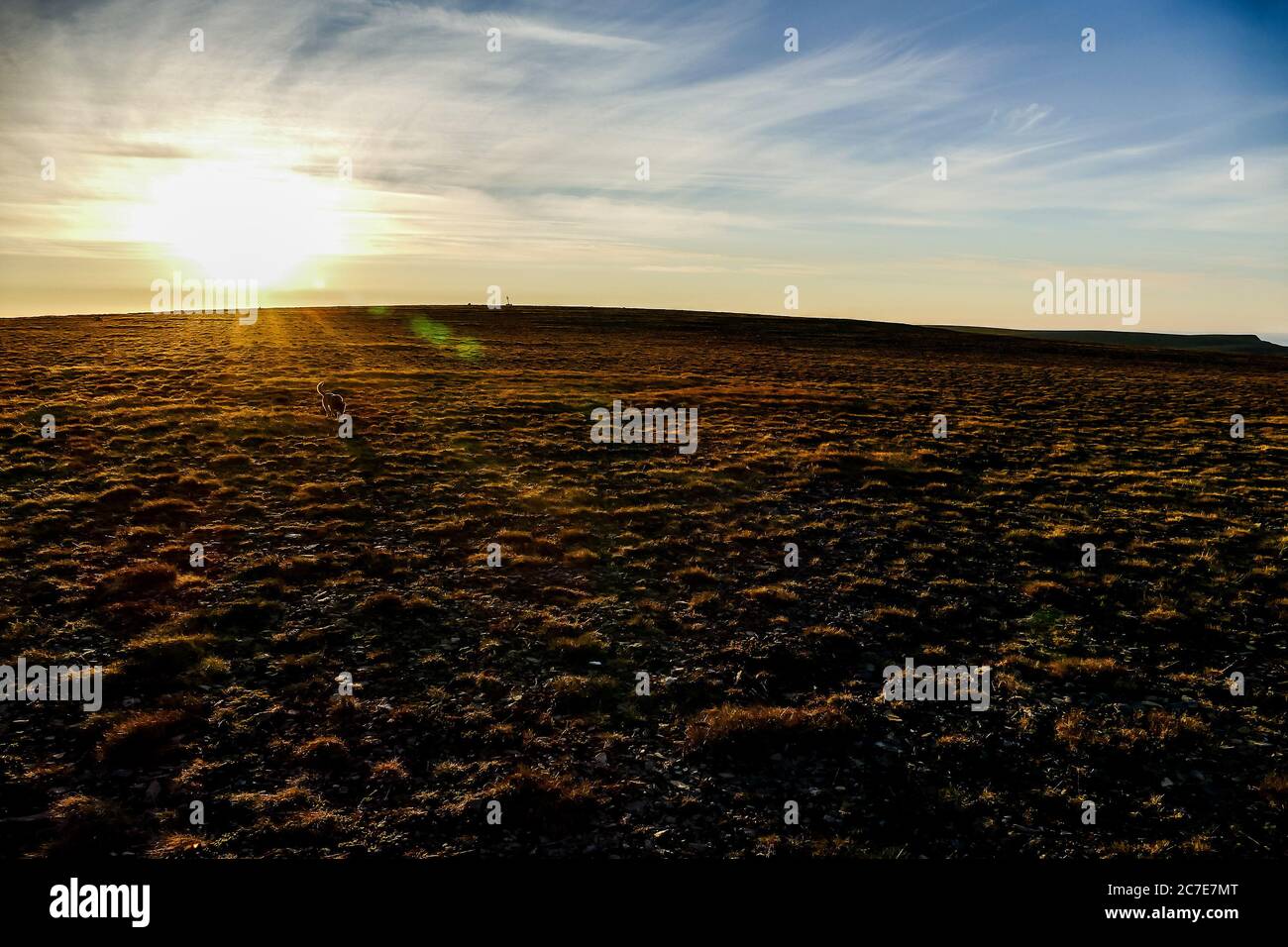 sunset over field, beautiful photo digital picture Stock Photo - Alamy