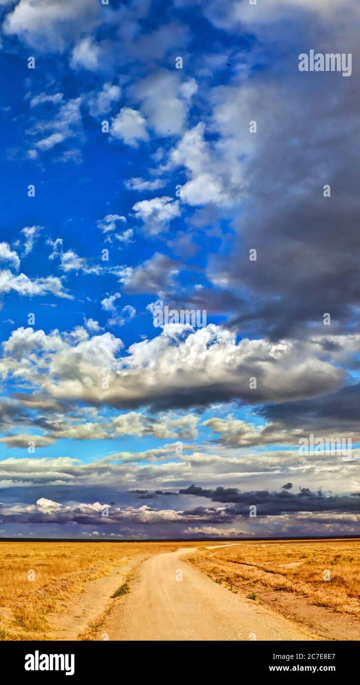 Vertical shot of a pathway with the background of the cloudy sky during ...