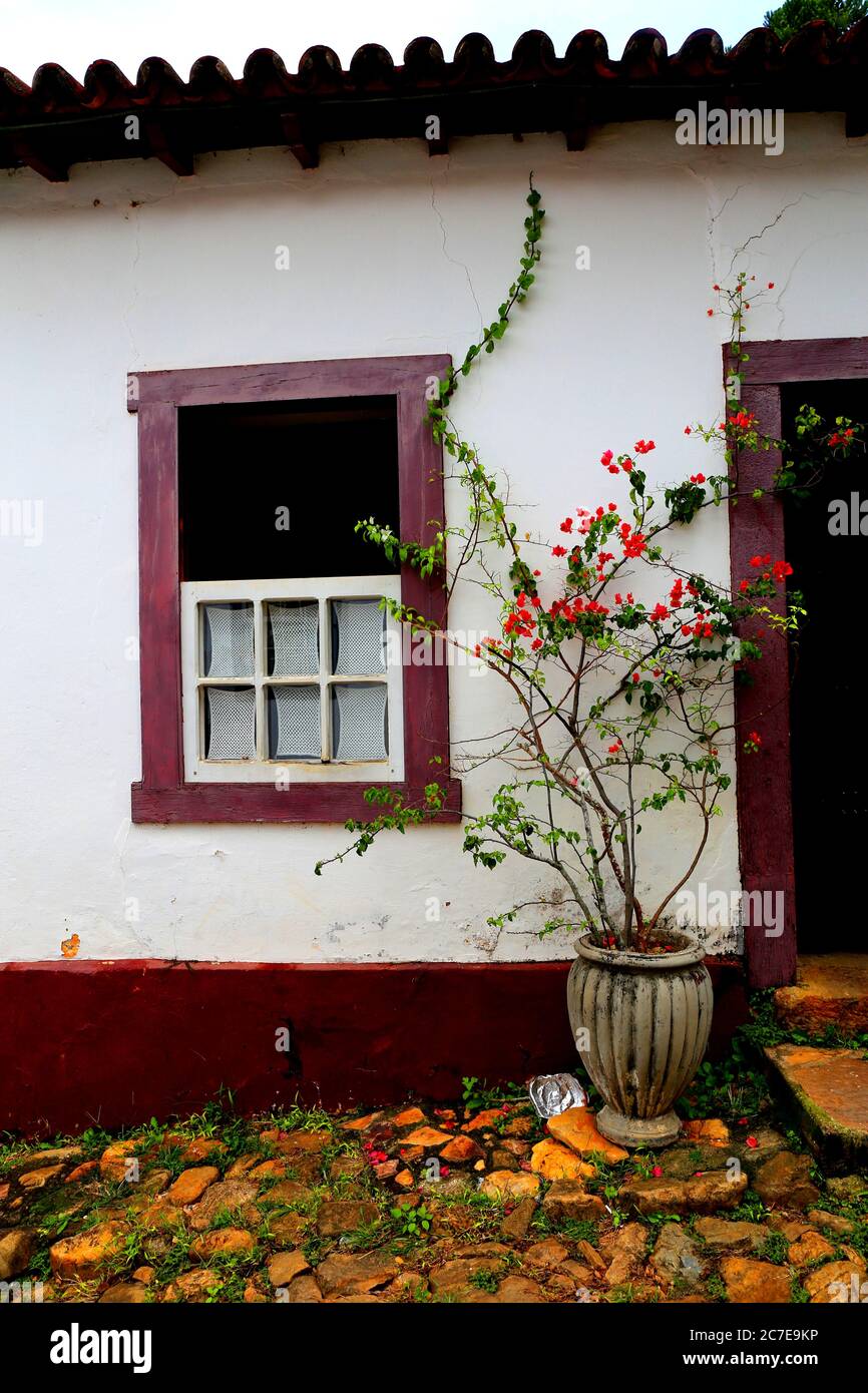 Beautiful door and window of a colonial house Stock Photo - Alamy