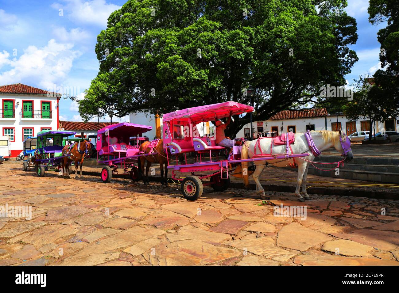 Square horses hi-res stock photography and images - Alamy