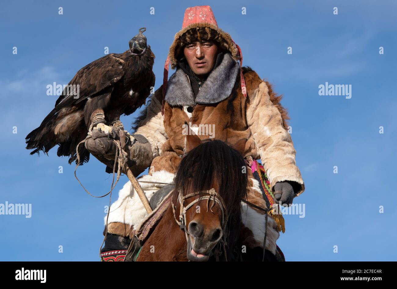 A Kazakh nomad on horseback hunting with his golden eagle in the Altai ...
