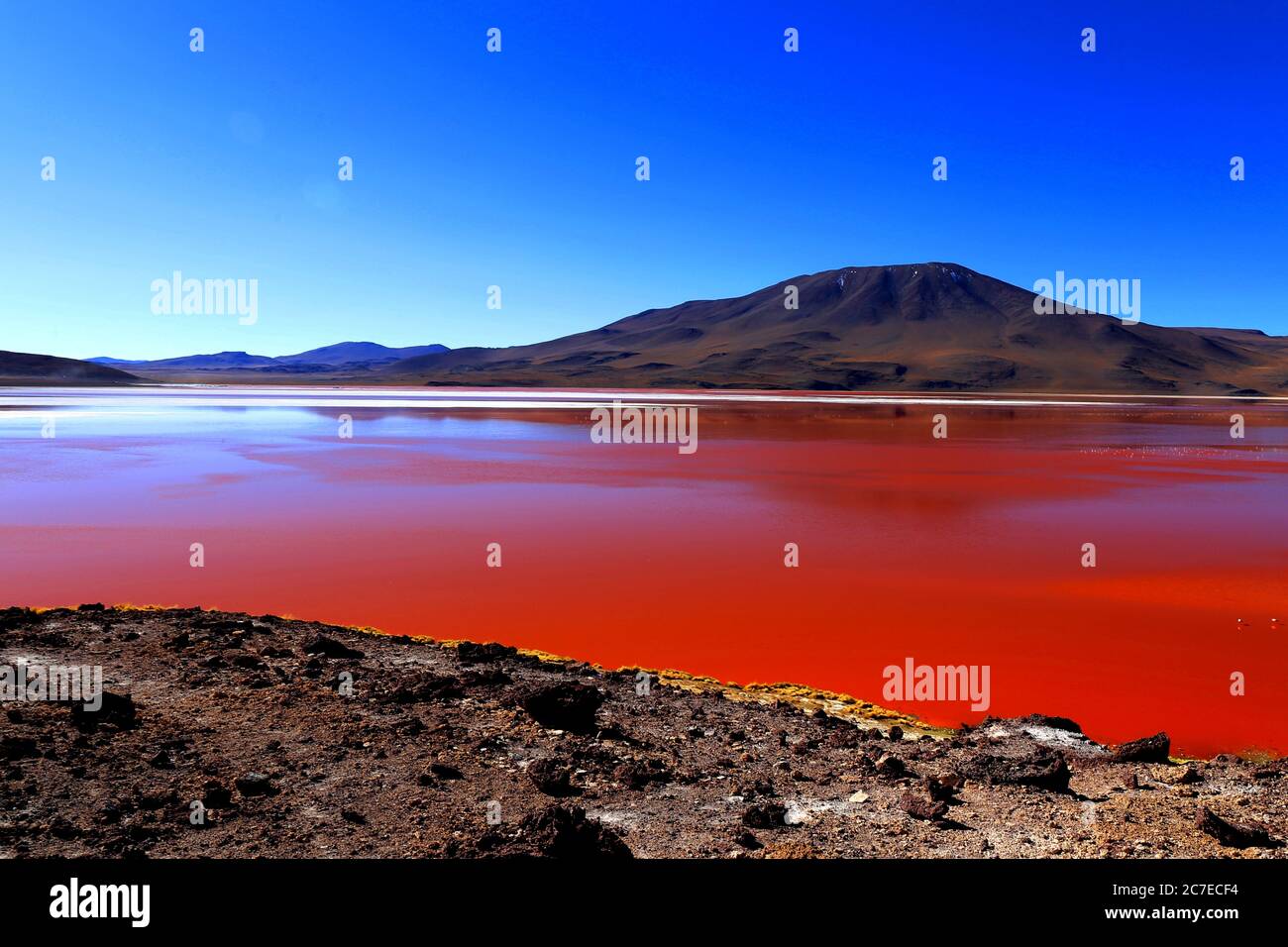 Laguna Colorada, Bolivia Stock Photo - Alamy