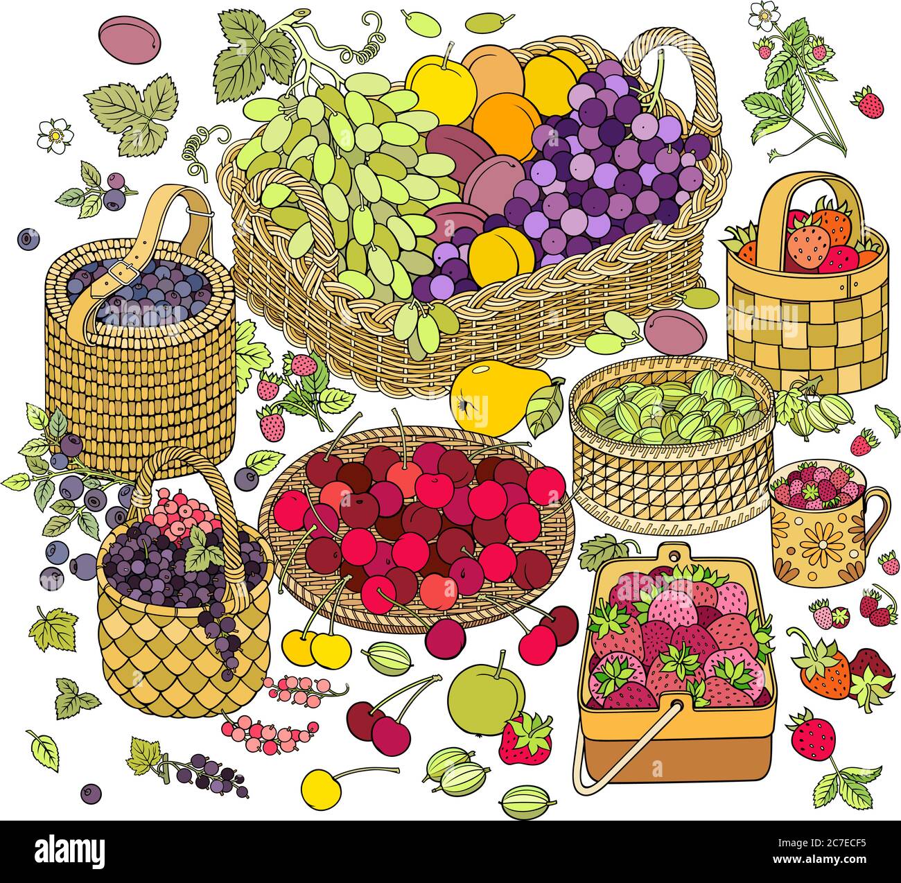 Apples berries autumn fruit Stock Vector Images - Alamy