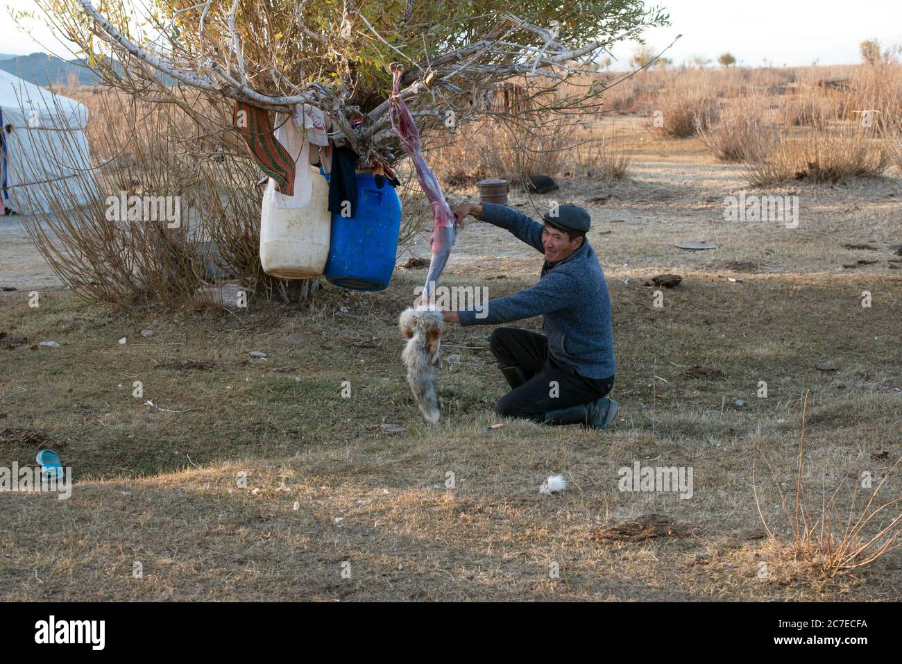 After a successful hunt, an ethnic Kazakh man skins the fox that was ...