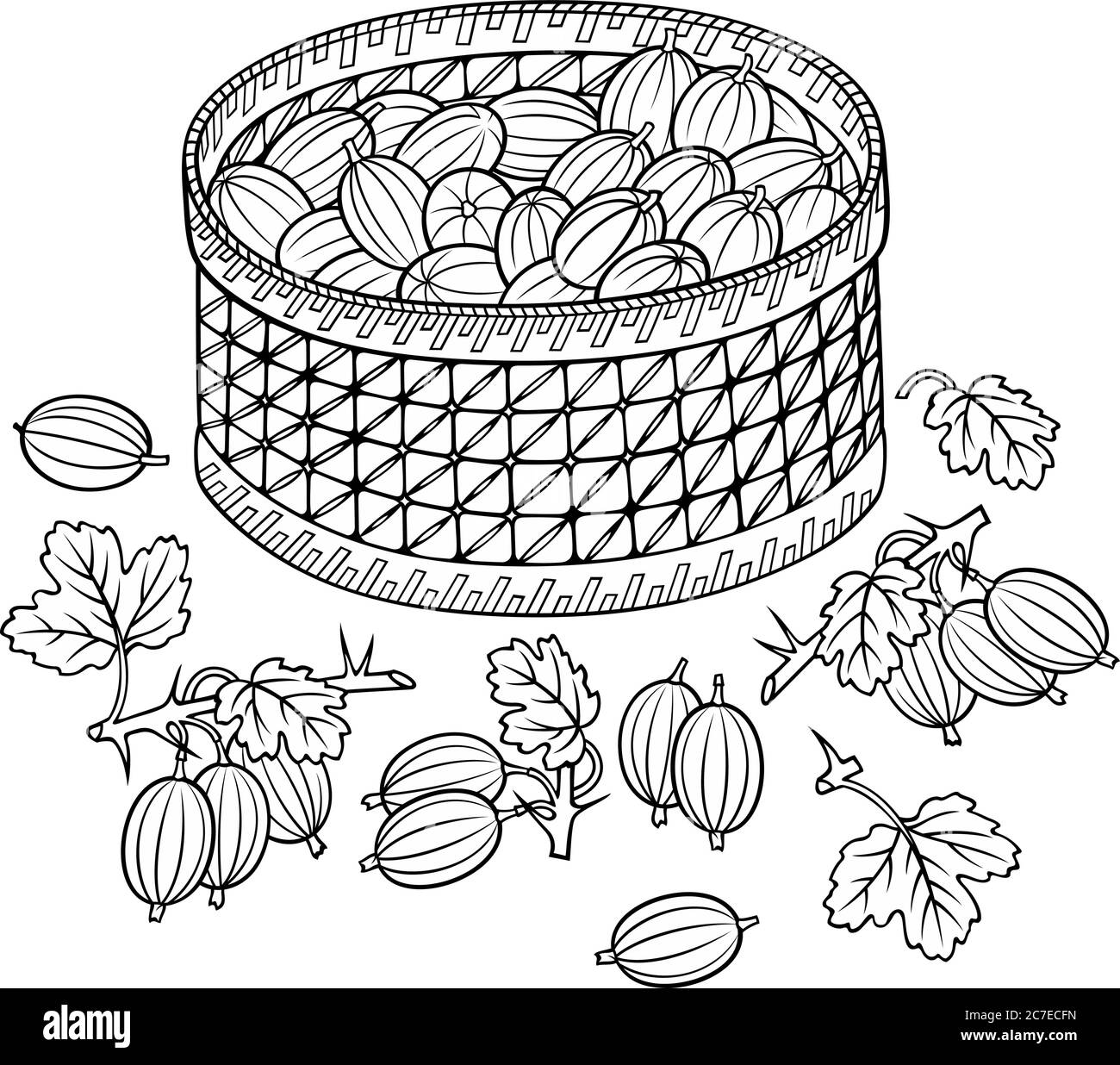 Gooseberry in basket. Cartoon vector illustration Stock Vector Image ...