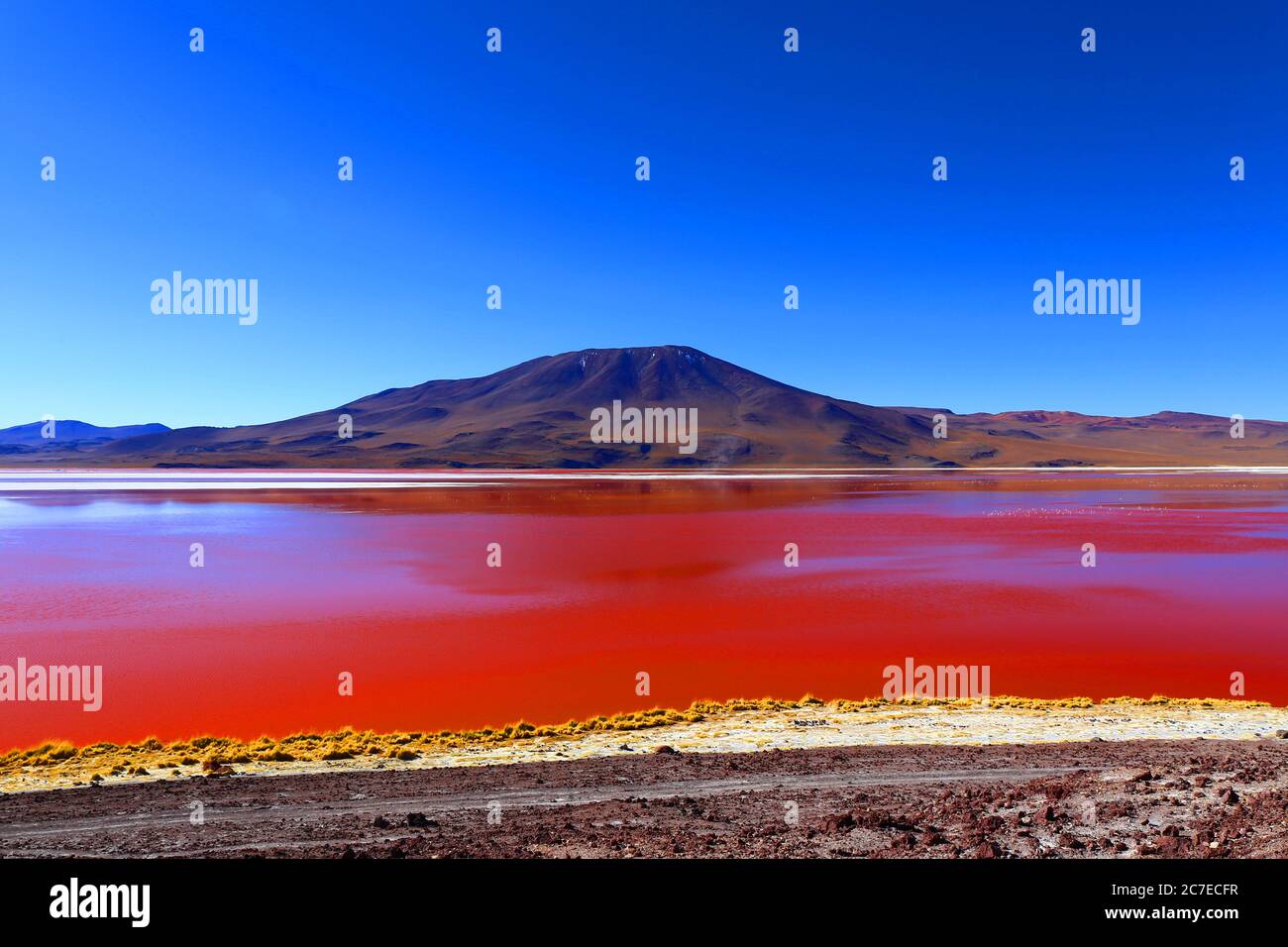 Laguna Colorada, Bolivia Stock Photo - Alamy