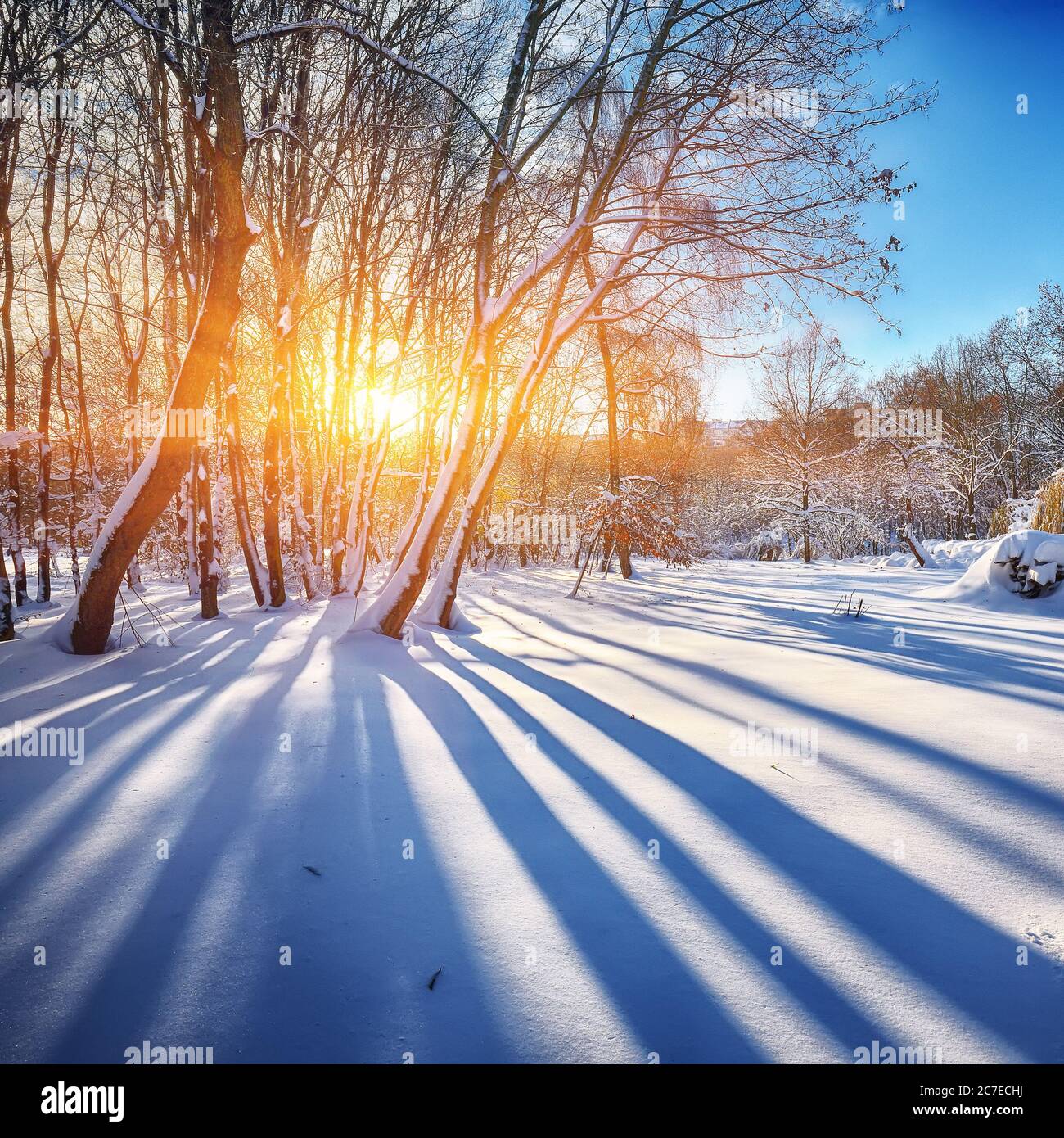 Hdr woods trees sun sky hi-res stock photography and images - Alamy