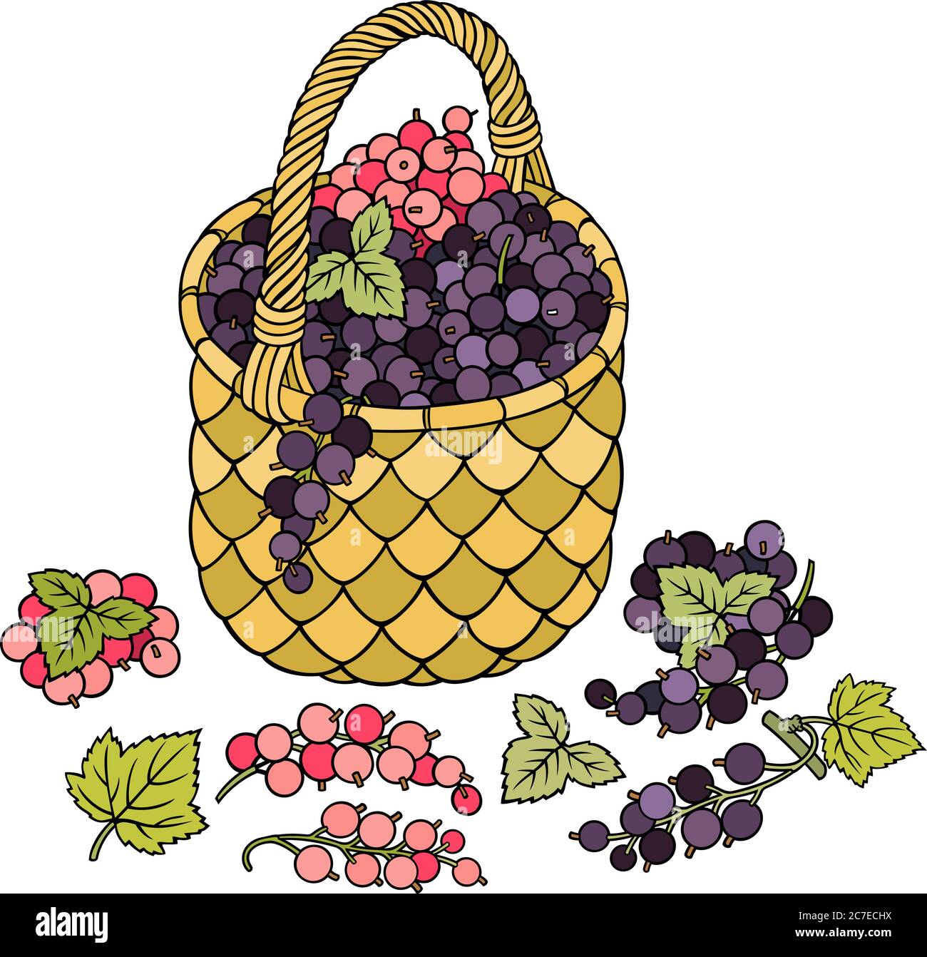 Grapes in basket. Cartoon hand drawn illustration Stock Vector Image ...