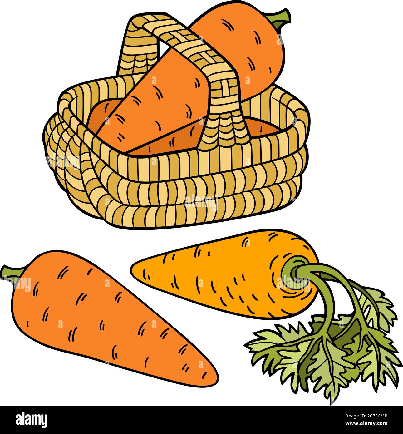 Carrots in basket. Cartoon hand drawn illustration Stock Vector Image ...
