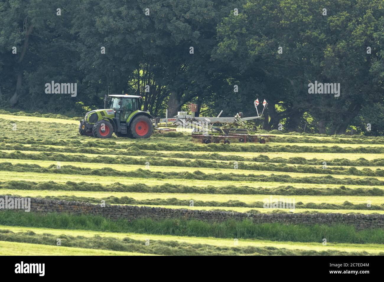 Silage tedding on a Yorkshire farm in England Stock Photo - Alamy