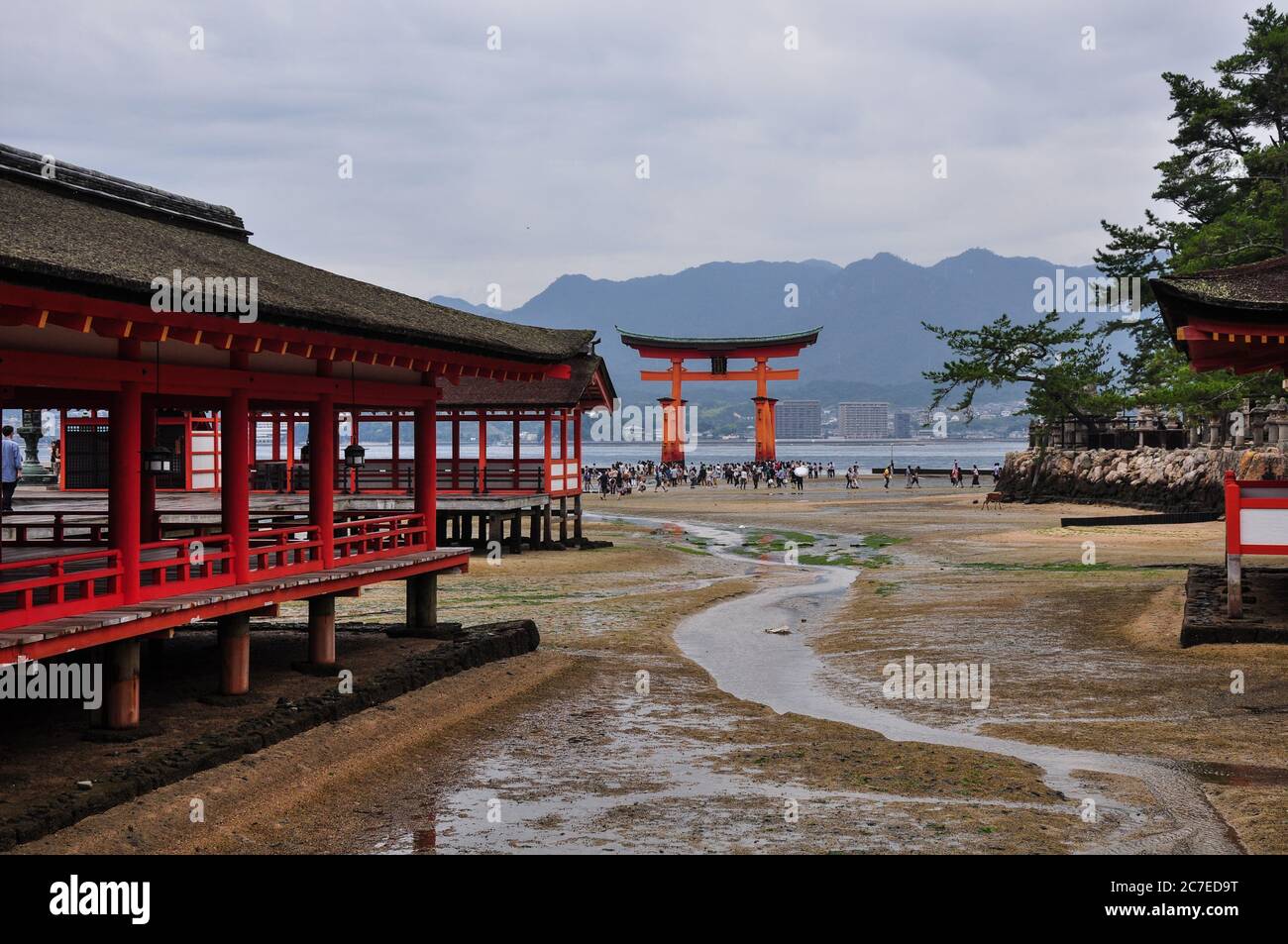 Itsukushima Shrine, Japan Stock Photo - Alamy