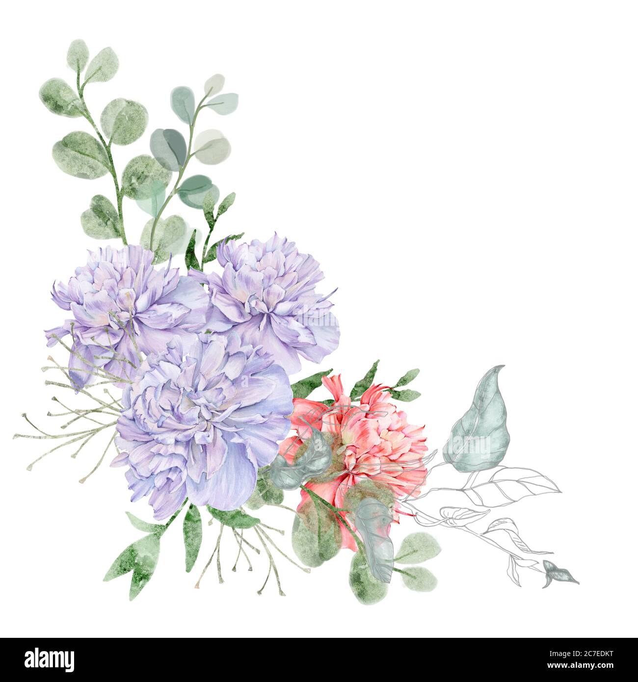 Peony drawing Cut Out Stock Images & Pictures - Alamy