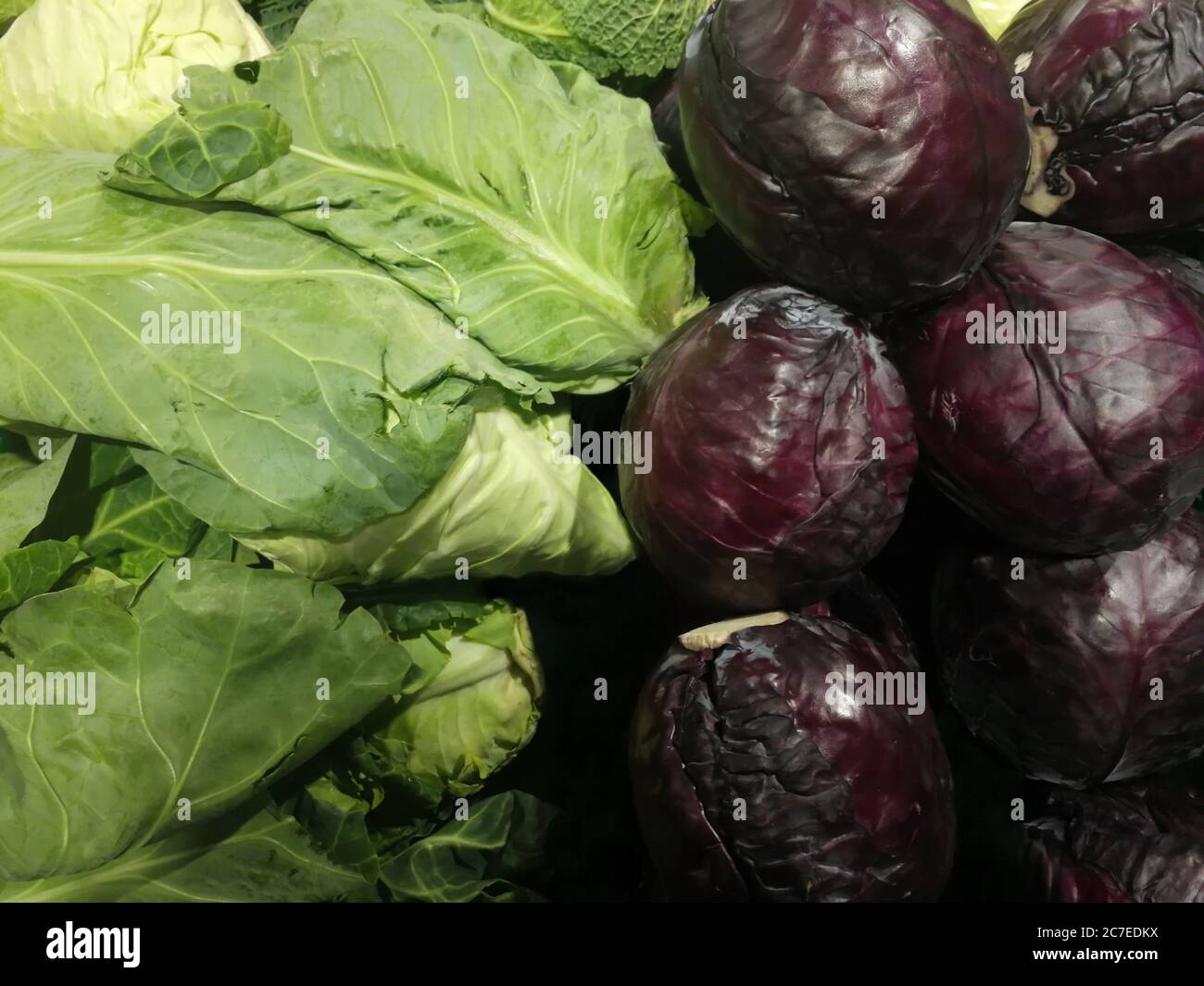 Different cabbages hi-res stock photography and images - Alamy