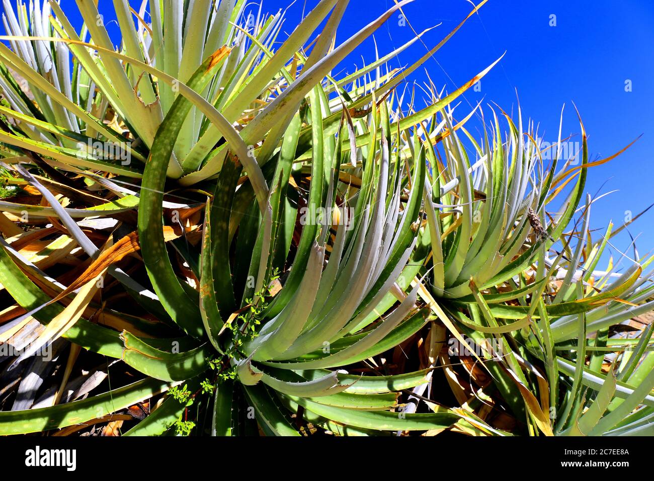 Lake titicaca hiking hi-res stock photography and images - Alamy