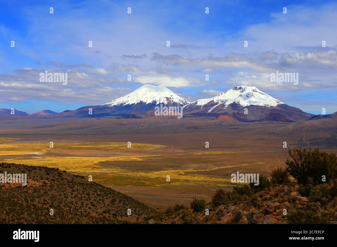 Sajama park hi-res stock photography and images - Alamy