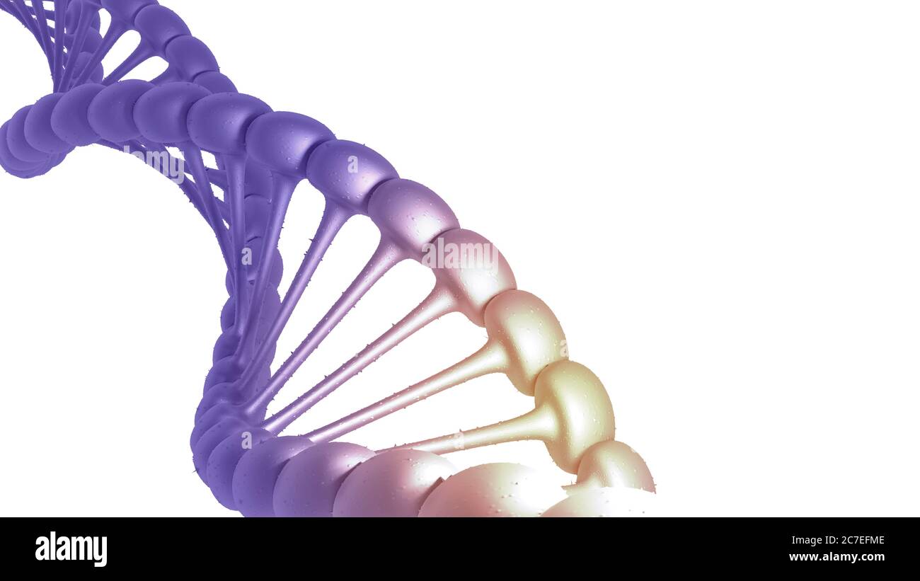 3D render DNA structure polygonal wireframe DNA isolated background. 3D ...