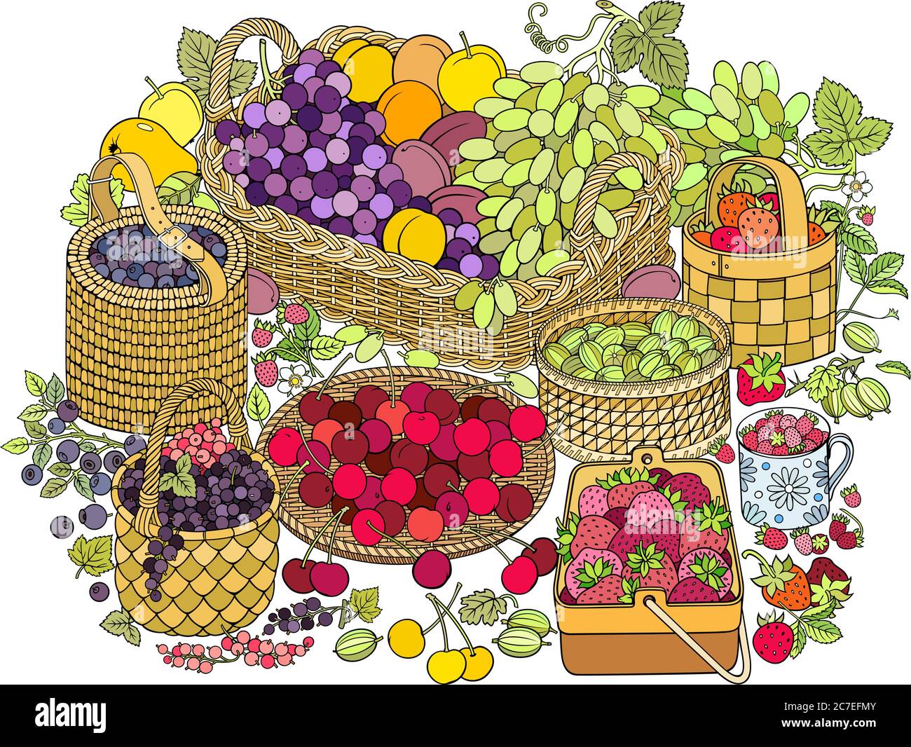 Harvest strawberries in garden Stock Vector Images - Alamy