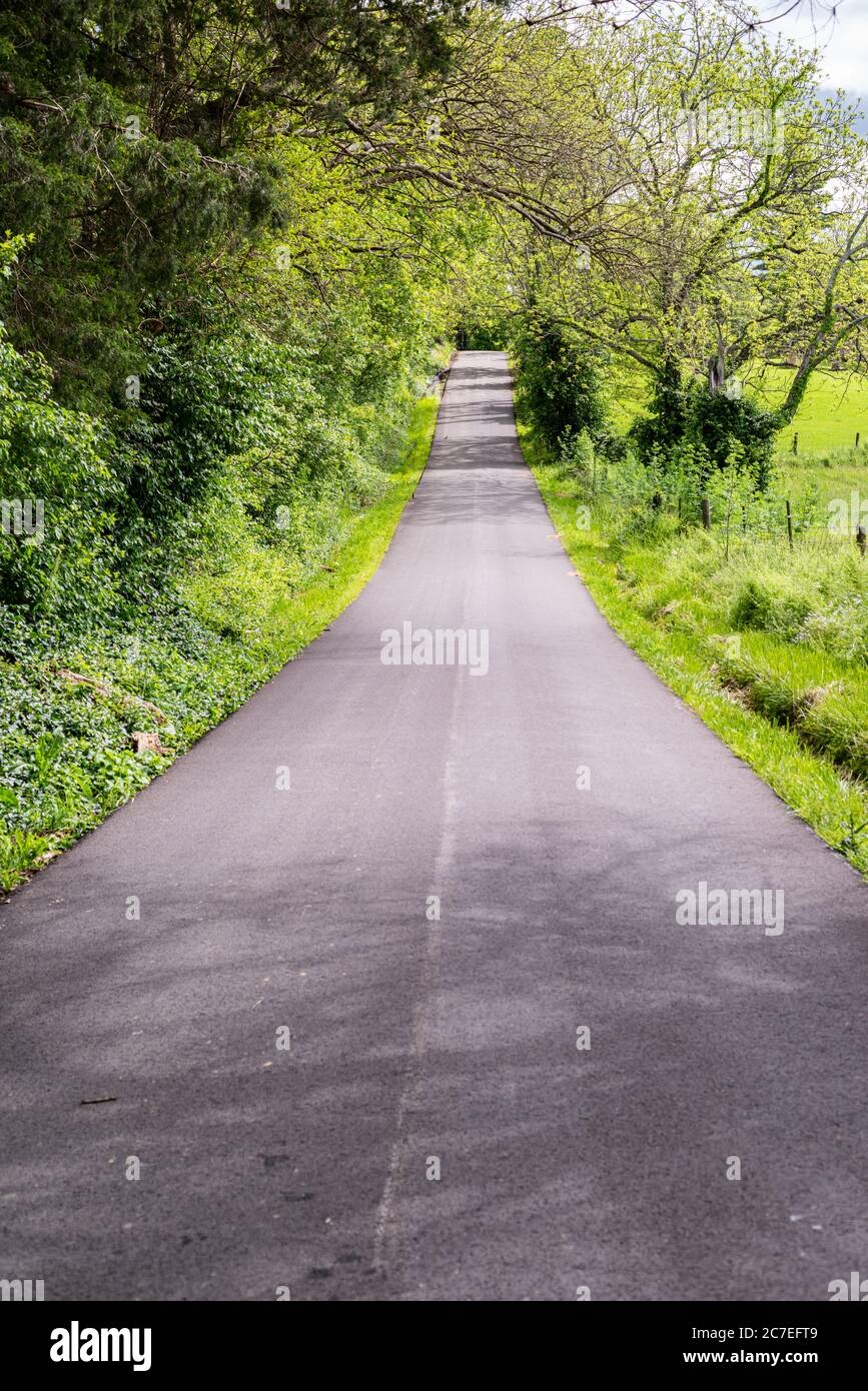 Narrow road way country lane hi-res stock photography and images - Alamy
