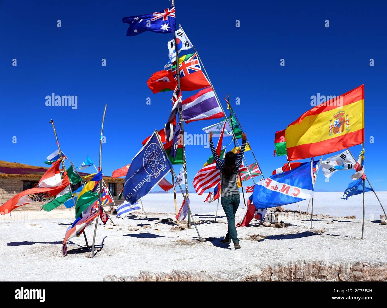 Flags in the desert High Resolution Stock Photography and Images - Alamy