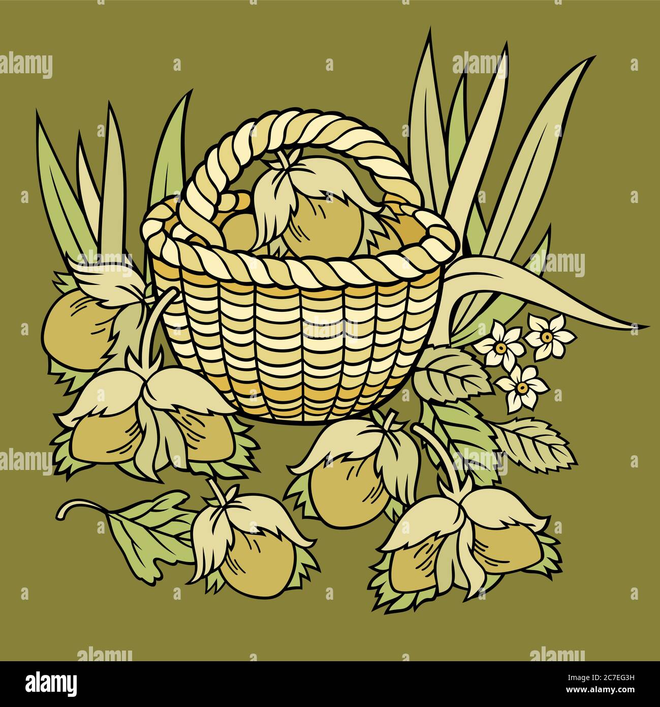 Nuts nature cartoon hand drawn illustration Stock Vector Image & Art ...