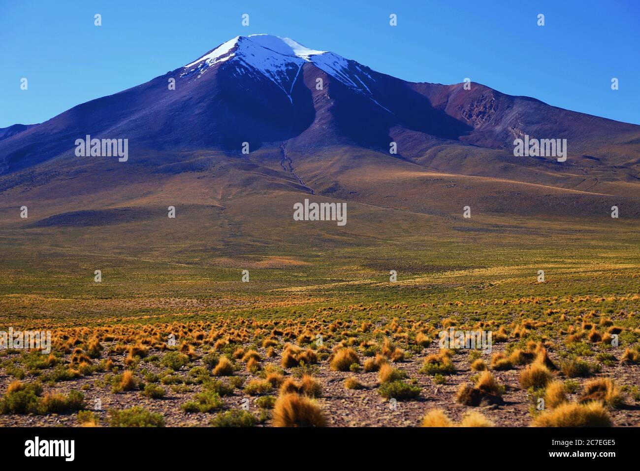 Bolivian desert hi-res stock photography and images - Alamy
