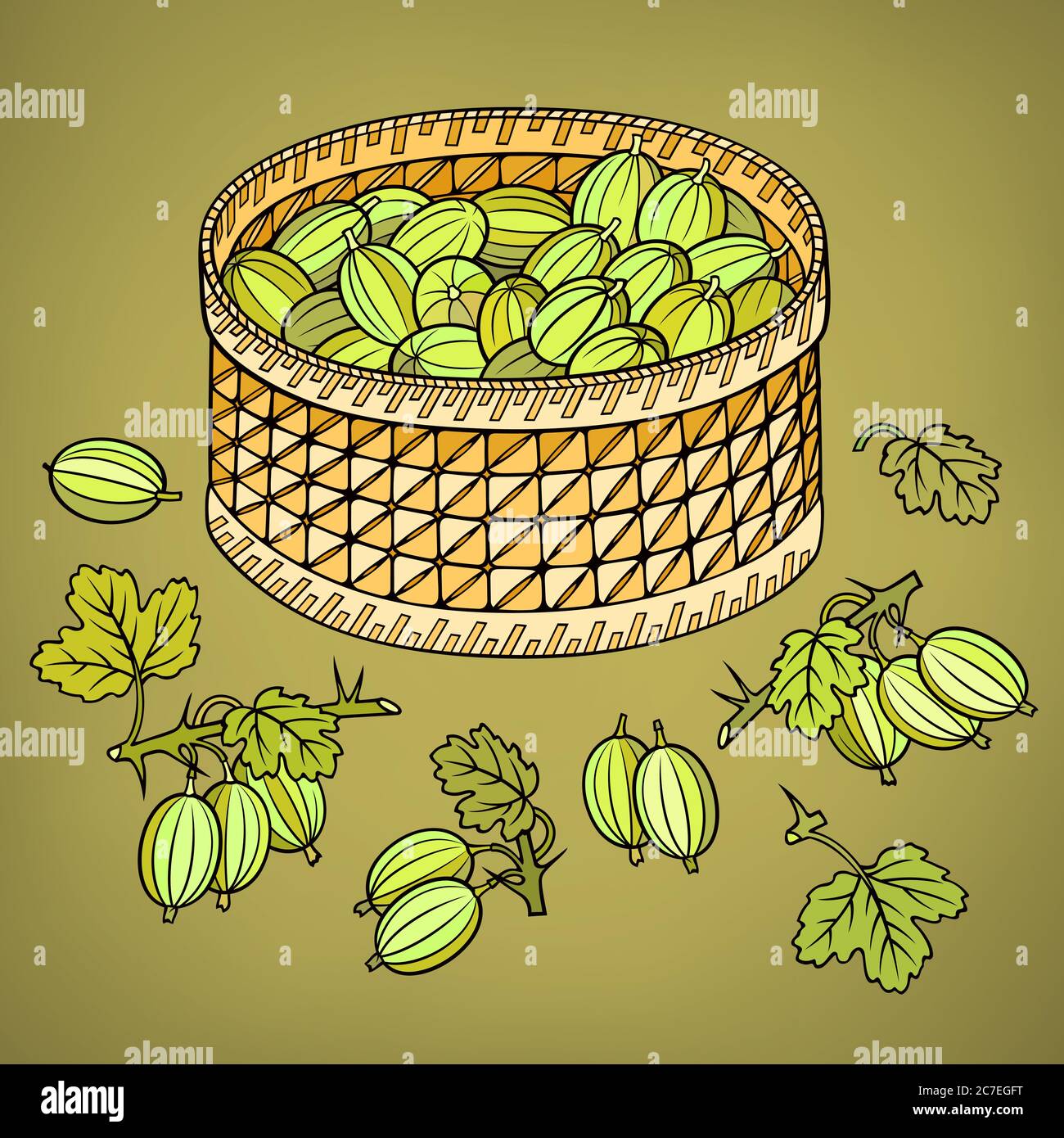 Gooseberry in basket. Cartoon vector illustration Stock Vector Image ...
