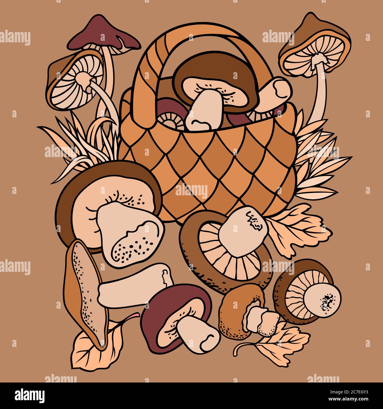 Mushrooms nature cartoon vector illustration Stock Vector Image & Art ...